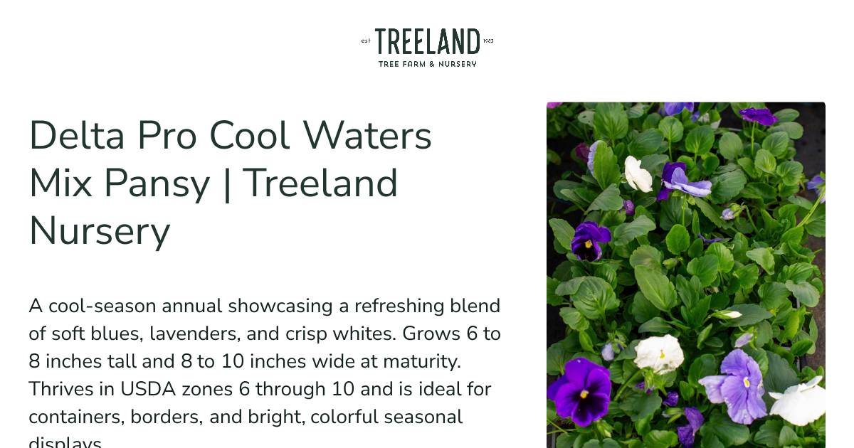 Delta Pro Cool Waters Mix Pansy | Treeland Nursery | Treeland Nursery