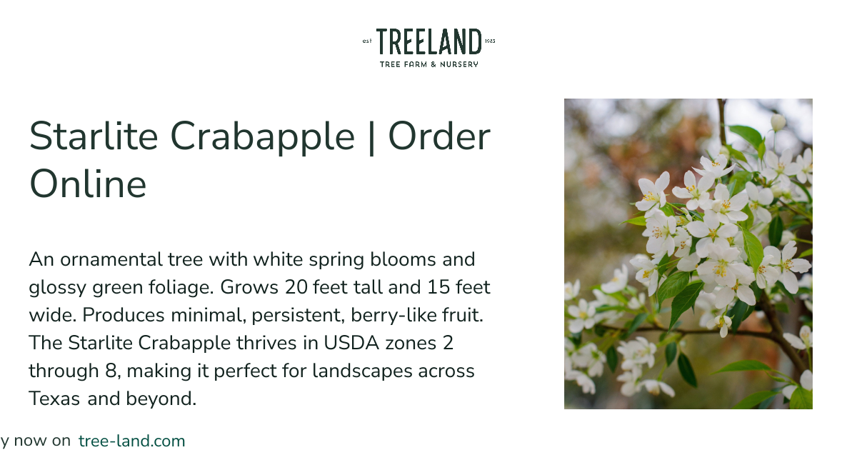 Starlite Crabapple | Order Online | Treeland Nursery